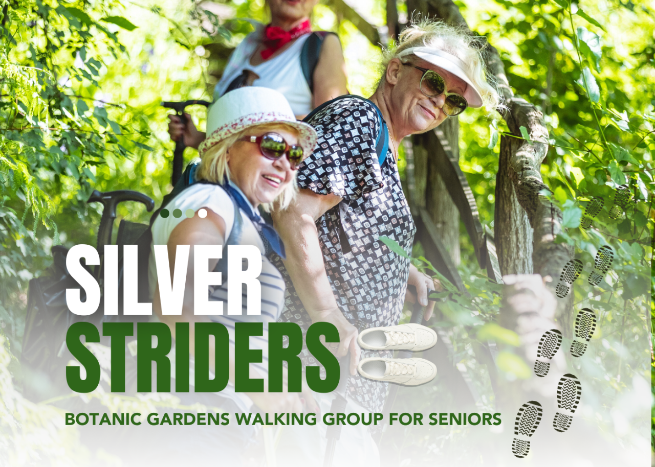 Enjoy Nature, Forge Friendships and Boost Your Health with Silver ...