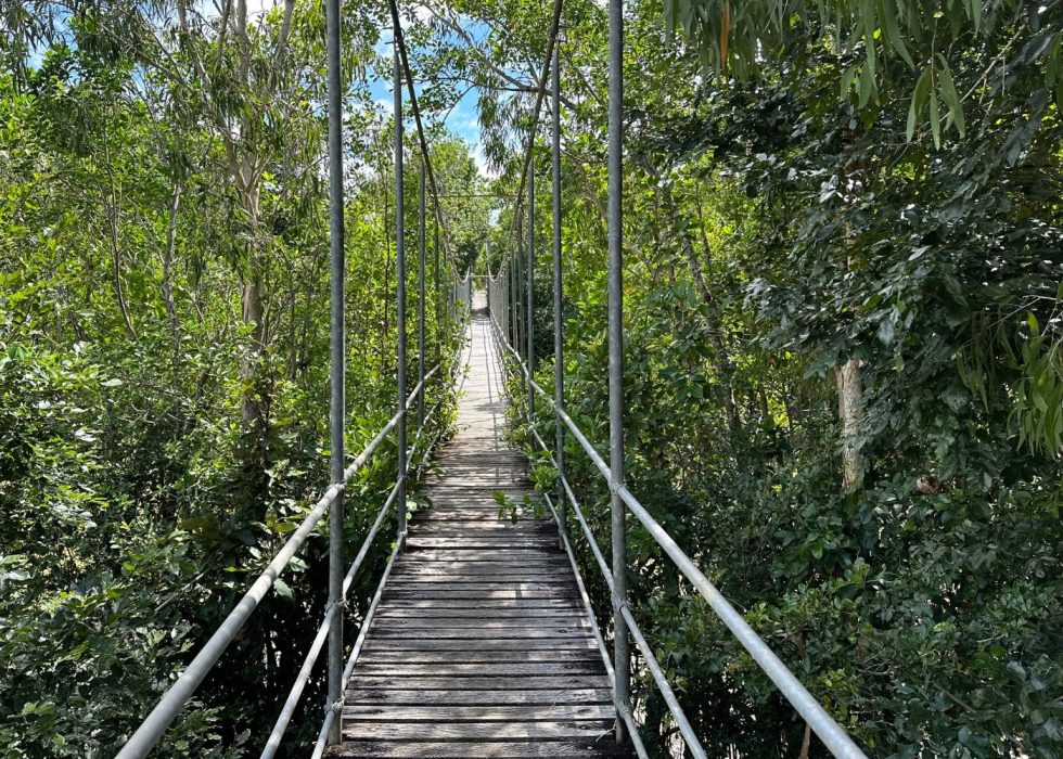 Marton Swing Bridge - Cook Shire Council