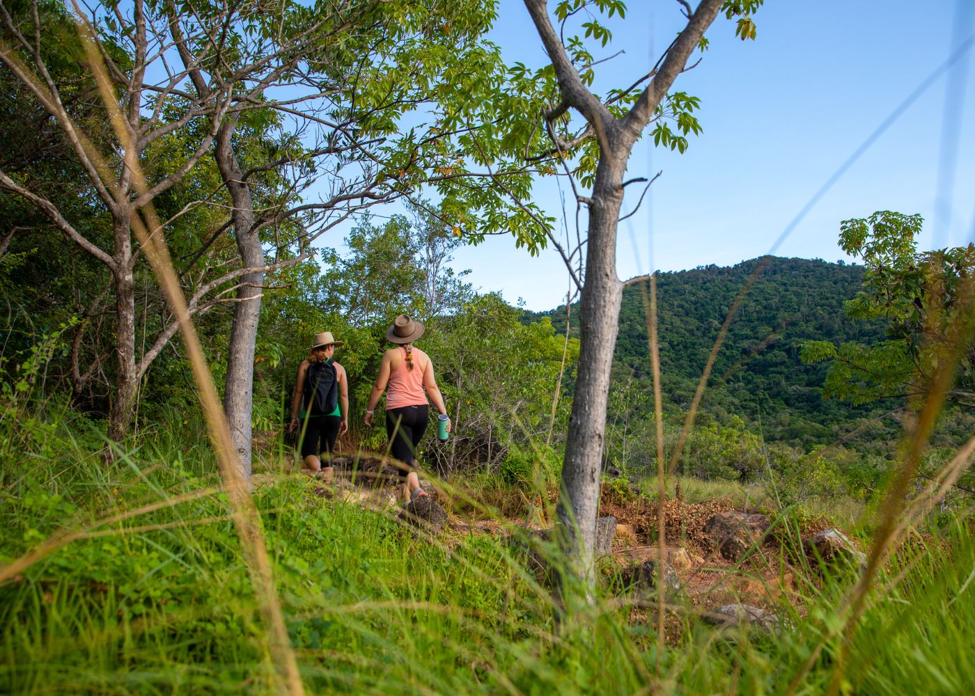 Mount Cook walking track reopened - Cook Shire Council