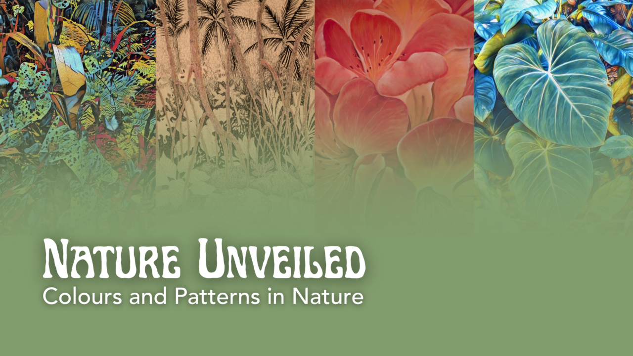Exhibition Opening: Nature Unveiled - Colours and Patterns in Nature ...