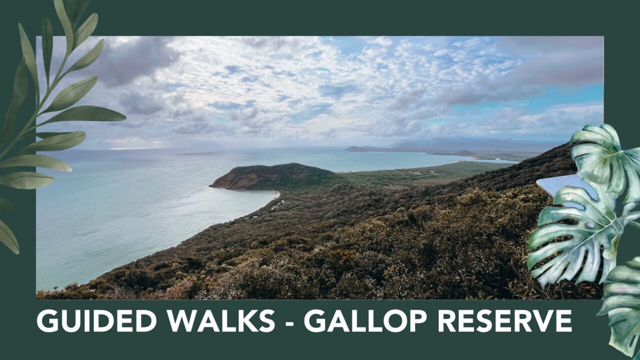 Guided Walk - Gallop Botanic Reserve - Cook Shire Council
