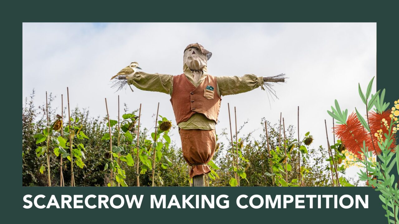 Botanic Gardens Week | Scarecrow Making Competition - Cook Shire Council